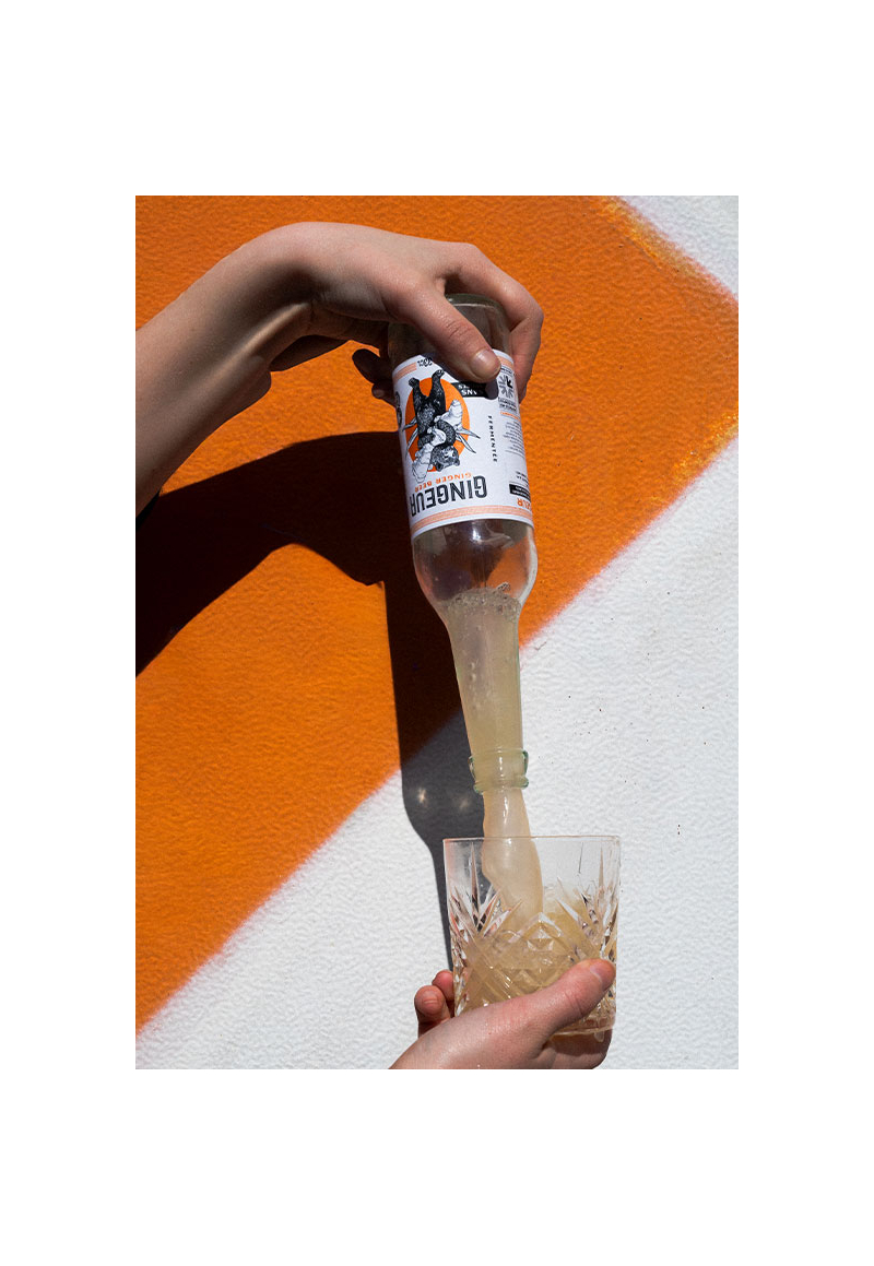 Ginger Beer Bio sans sucres - Gingeur